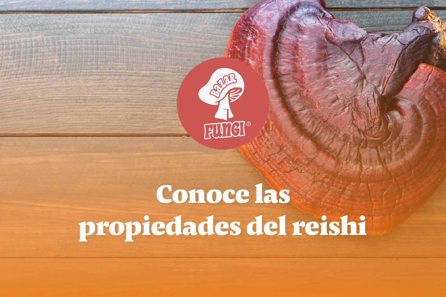 Reishi: propiedades, beneficios y componentes | Bazar Fungi